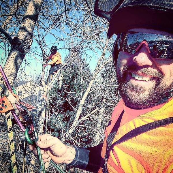 Time to Trim Your Trees | Expert Tree Trimming Services in Denver