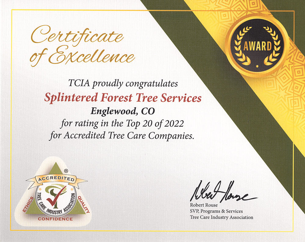 Industry Awards | Splintered Forest Tree Services