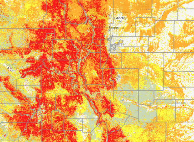 Defensible Space Inspection & Fire Mitigation Services in Colorado